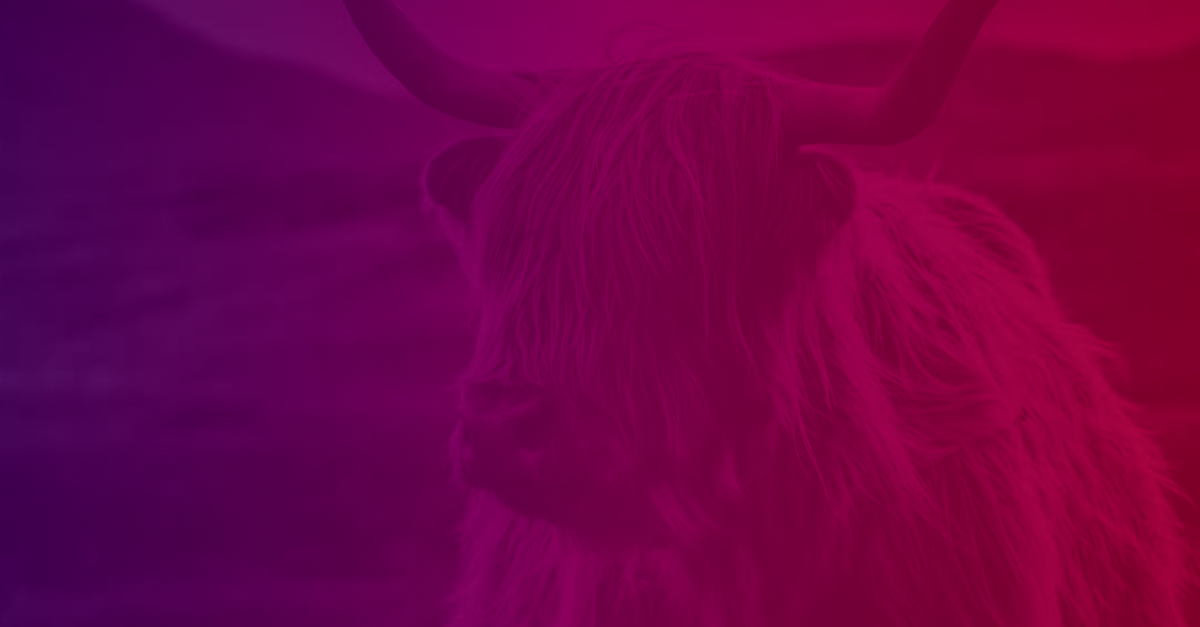 Compass Recruitment Solutions Cow Corner invests in Compass Recruitment ... Compass Recruitment Solutions Cow Corner invests in Compass Recruitment ...